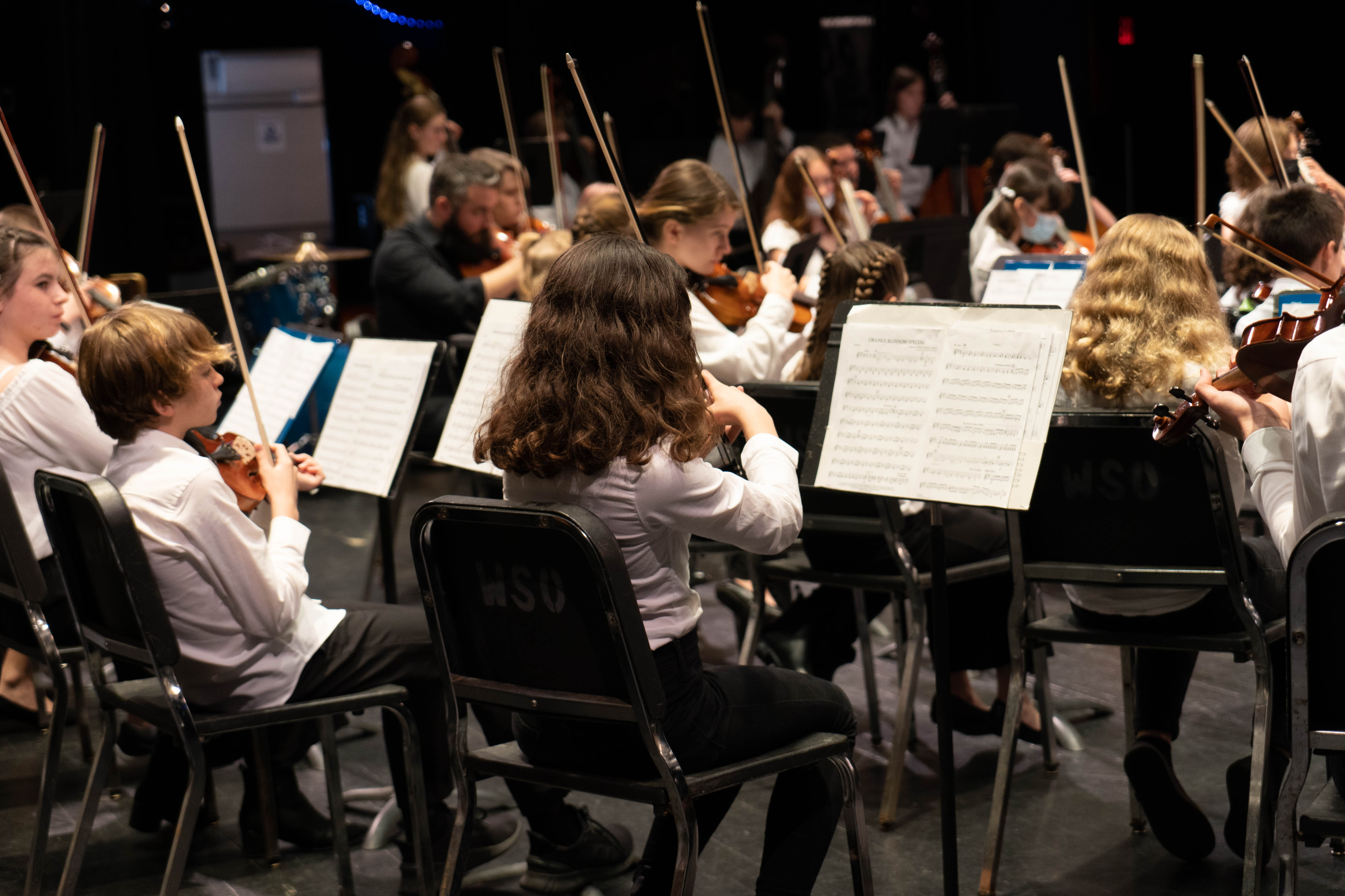 Wilmington Symphony Orchestra