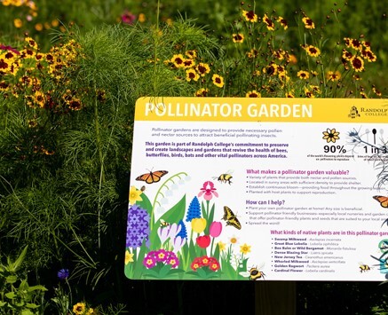 Jackson County Library Foundation Giving Page