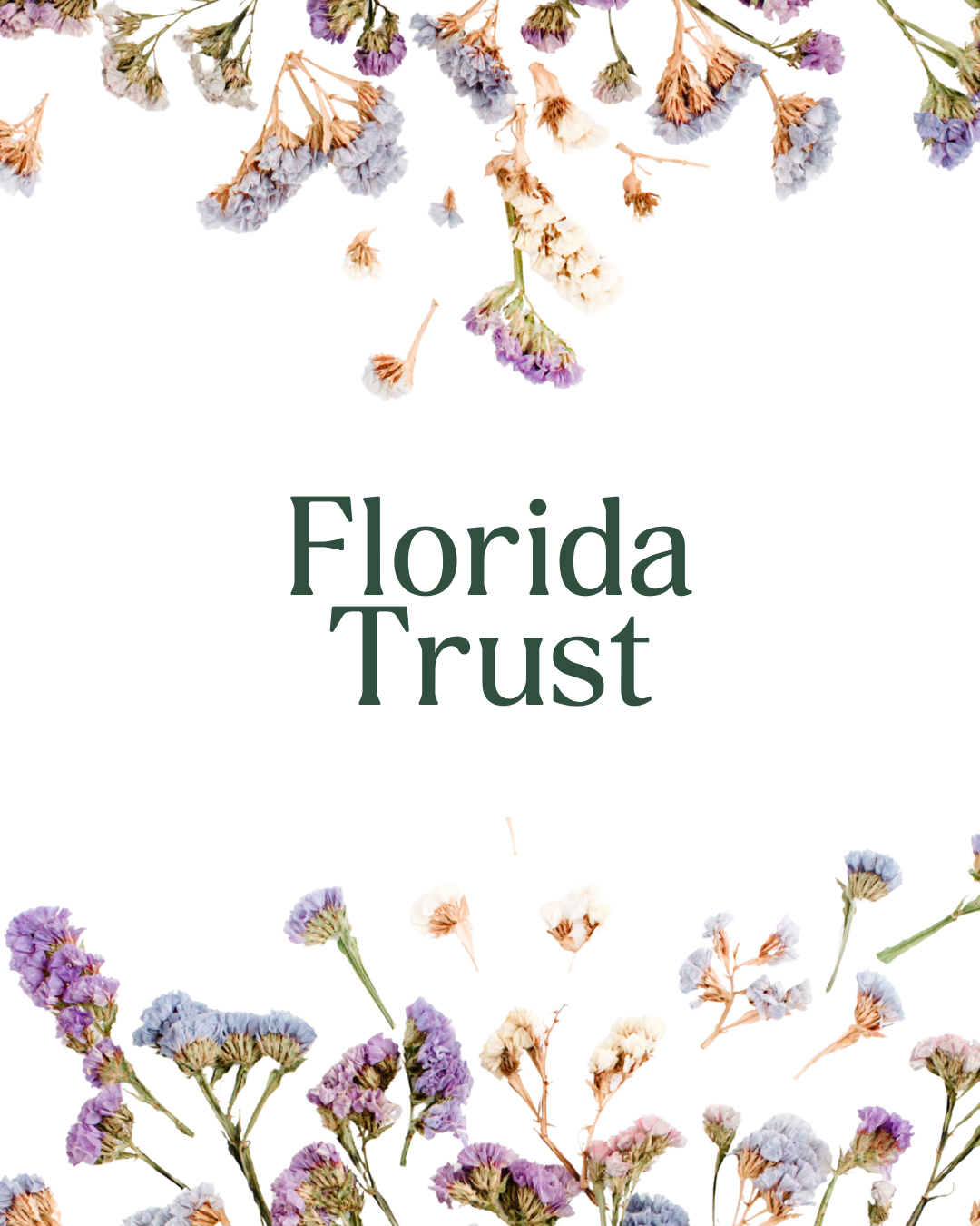 Starability Foundation